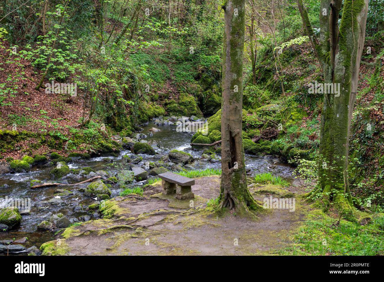 Plas Cadnant Hidden Gardens a beautiful garden in Menai Bridge ...