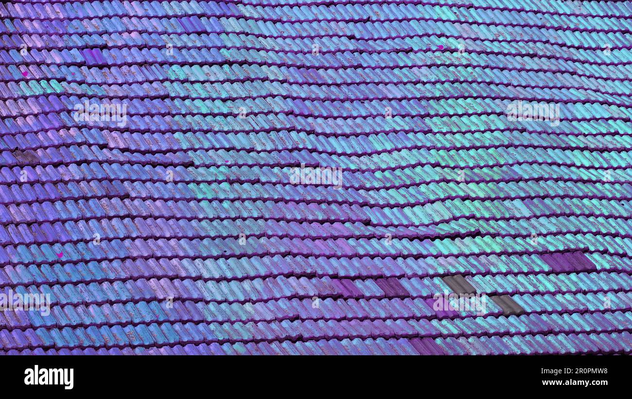 A wavy roof with old tiles. Everything in good condition. The color of ...