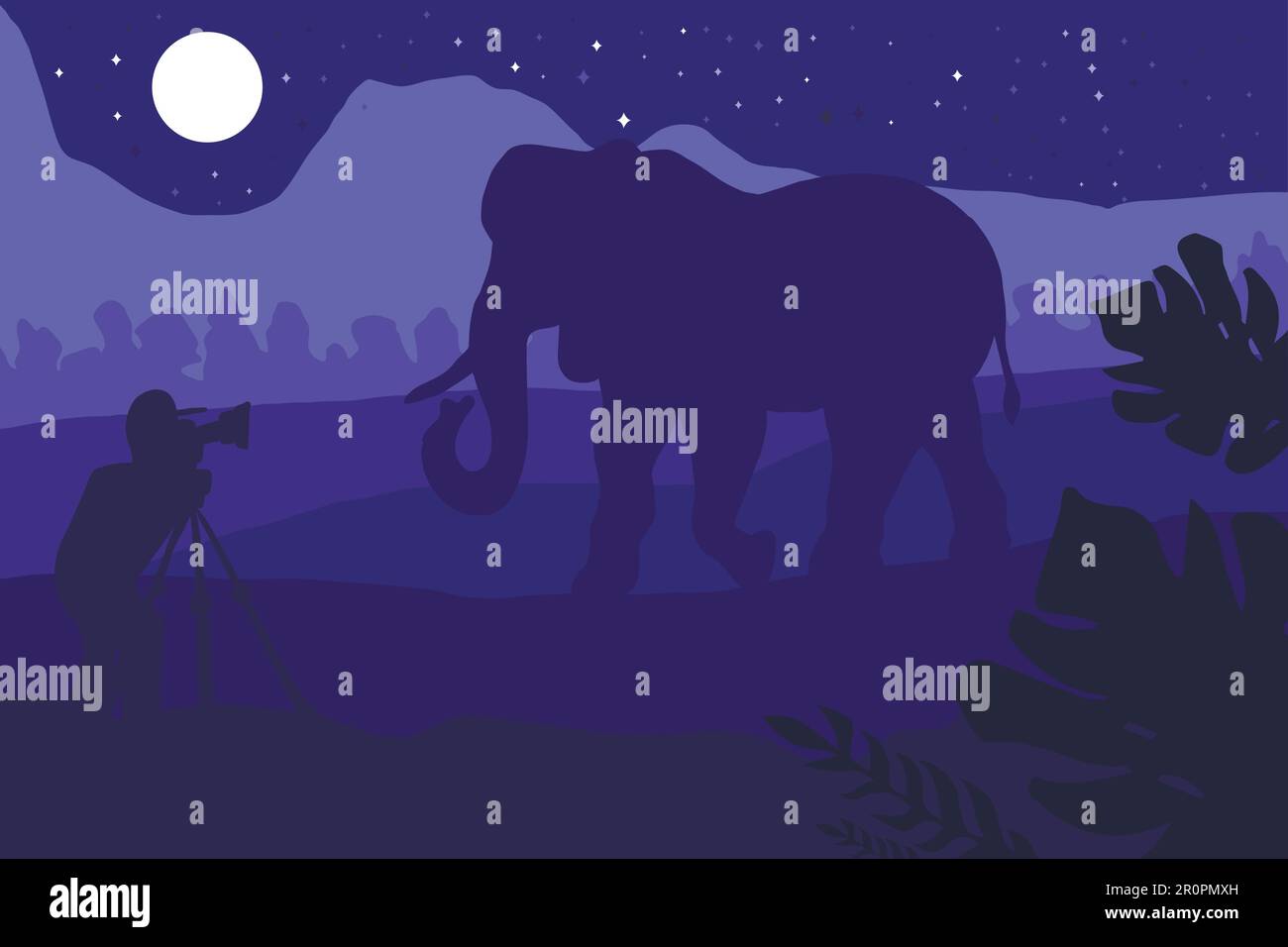 Photographer photographs elephant in nature. Illustration with standing ...