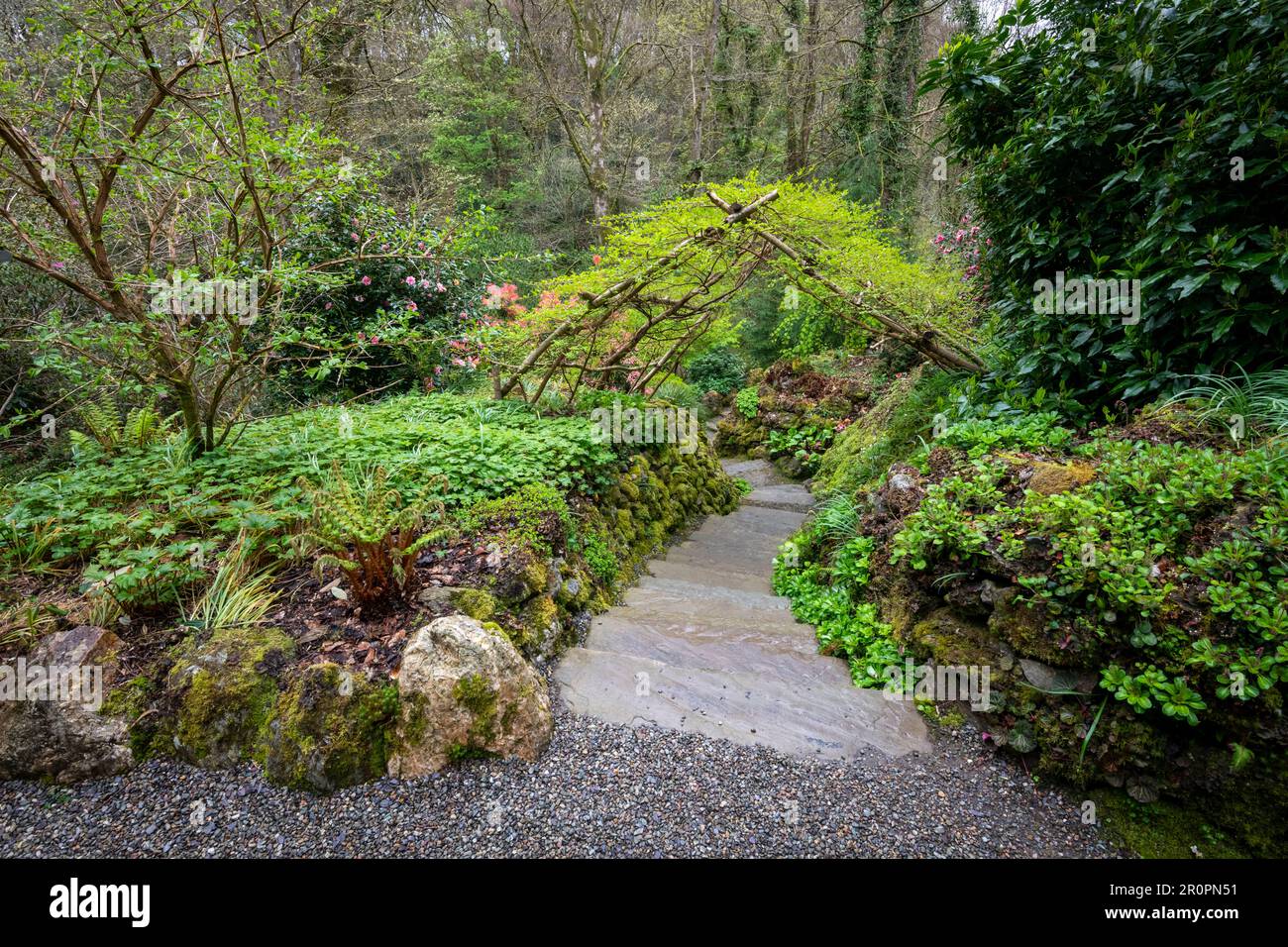 Plas Cadnant Hidden Gardens a beautiful garden in Menai Bridge ...