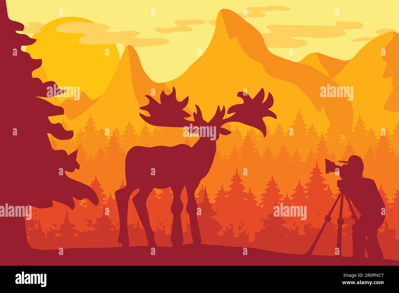 Photographer photographs deer in wildlife nature. Vector Stock Vector ...
