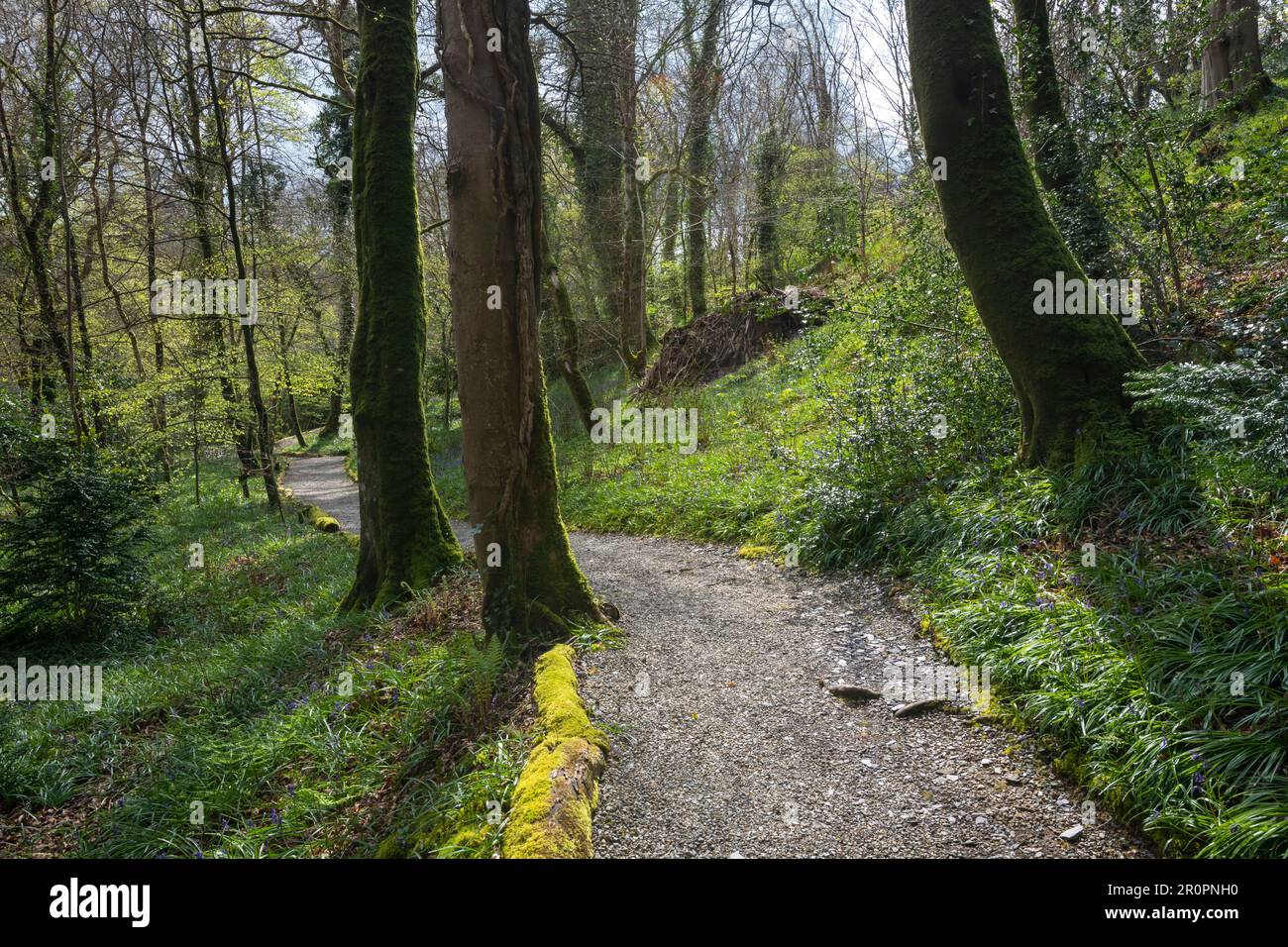 Plas Cadnant Hidden Gardens a beautiful garden in Menai Bridge ...