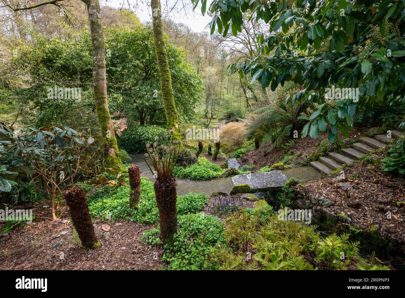 Plas Cadnant Hidden Gardens a beautiful garden in Menai Bridge ...