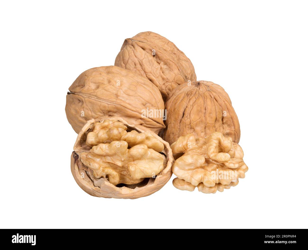 Walnut. Walnuts with kernel isolated on white background Stock Photo ...