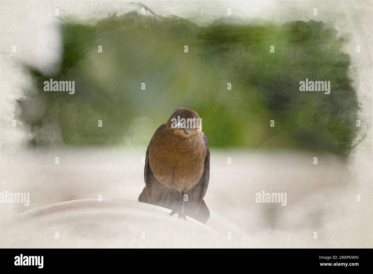 Digital watercolour painting of an angry, irritated, and furious ...