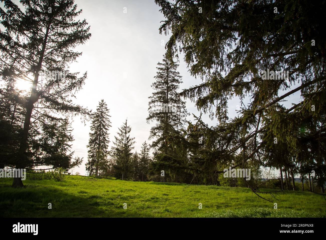 Reuther Platte, a hill and early celtic settlement in Altmühltal ...