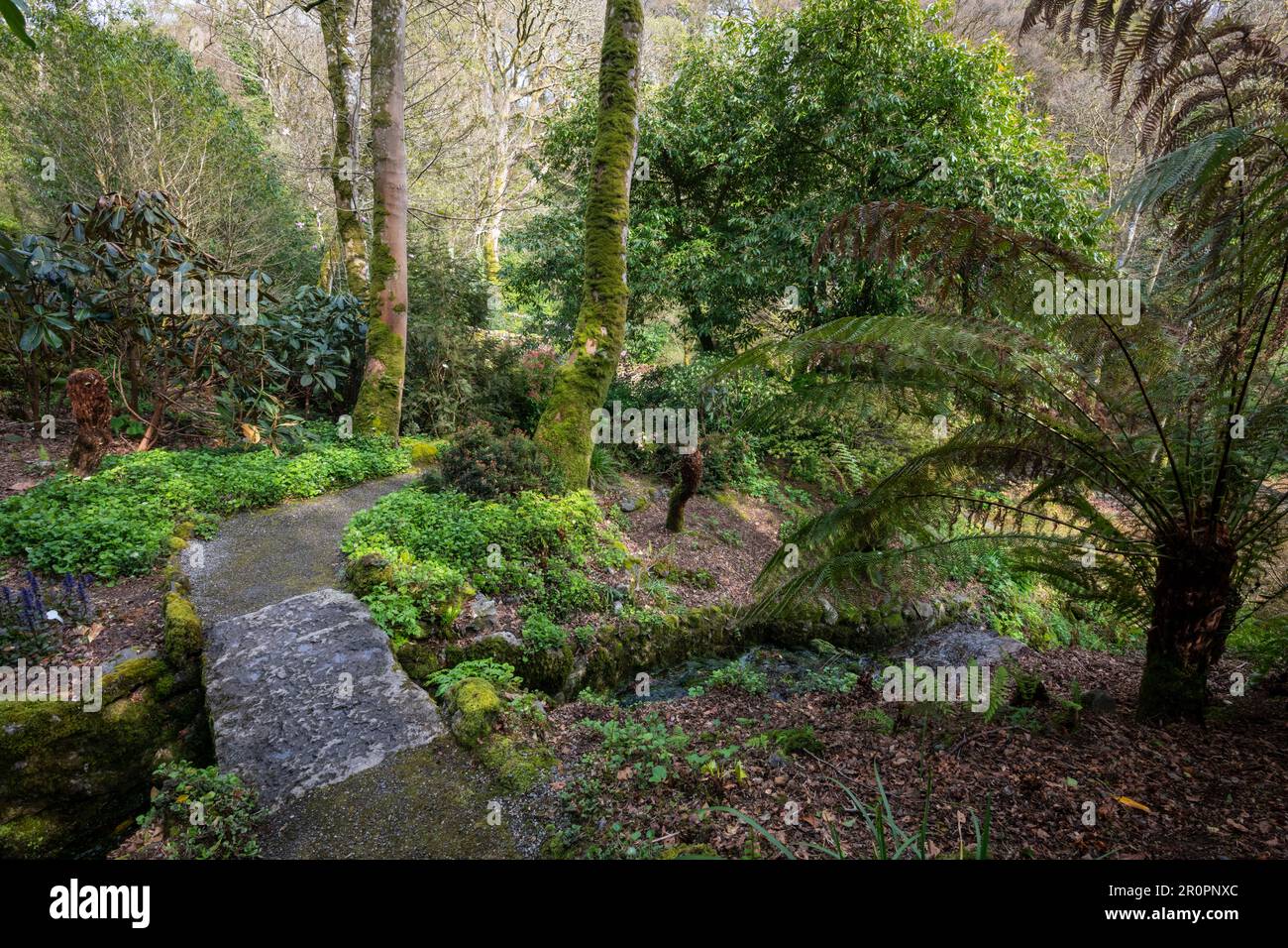 Plas Cadnant Hidden Gardens a beautiful garden in Menai Bridge ...