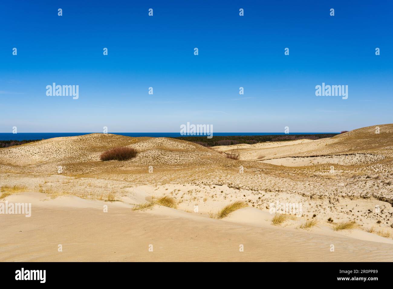 The Gray Dunes, or the Dead Dunes is sandy hills with a bit of green ...