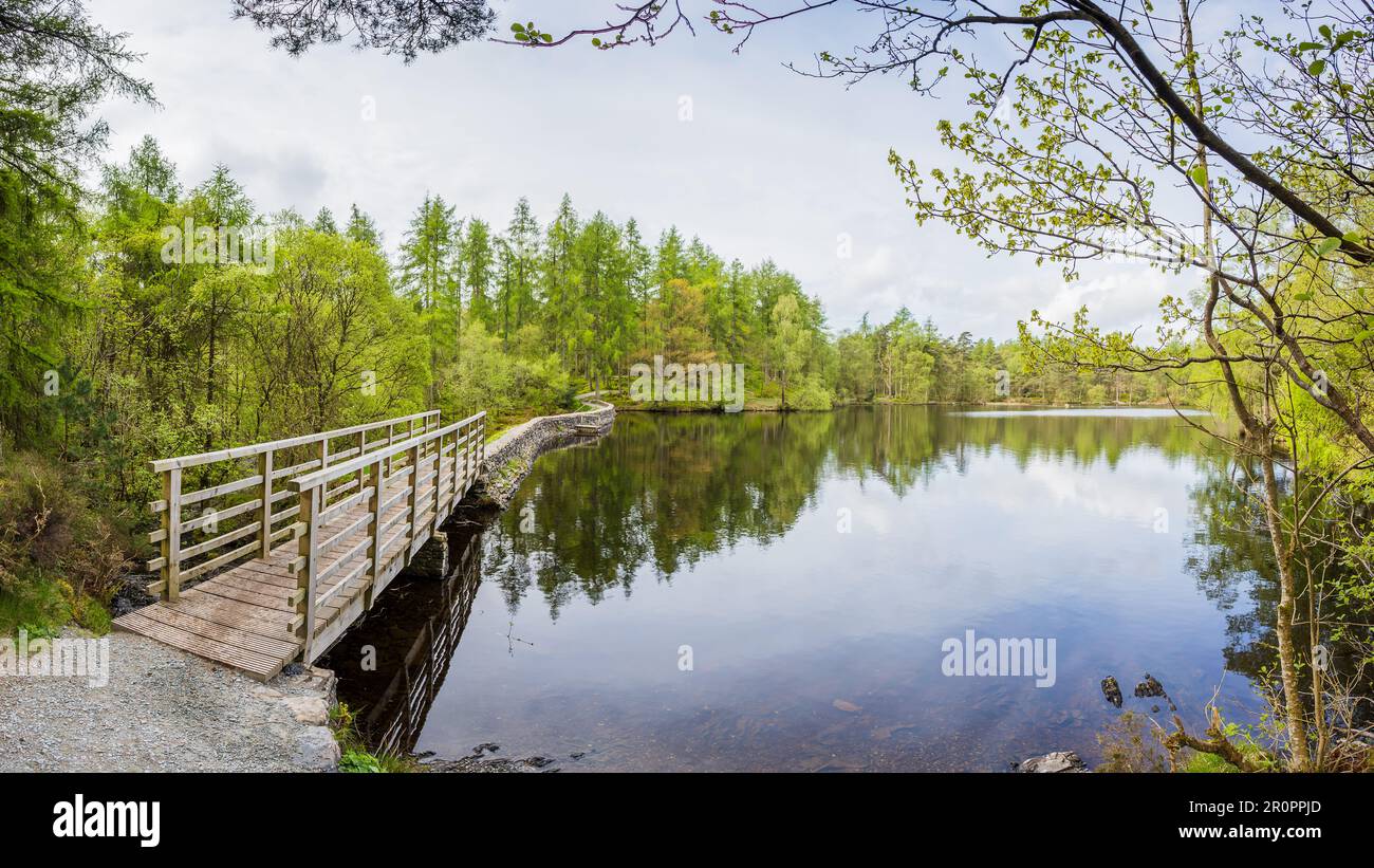 A multi image panorama of the shores of High Dam Tarn in the Lake ...