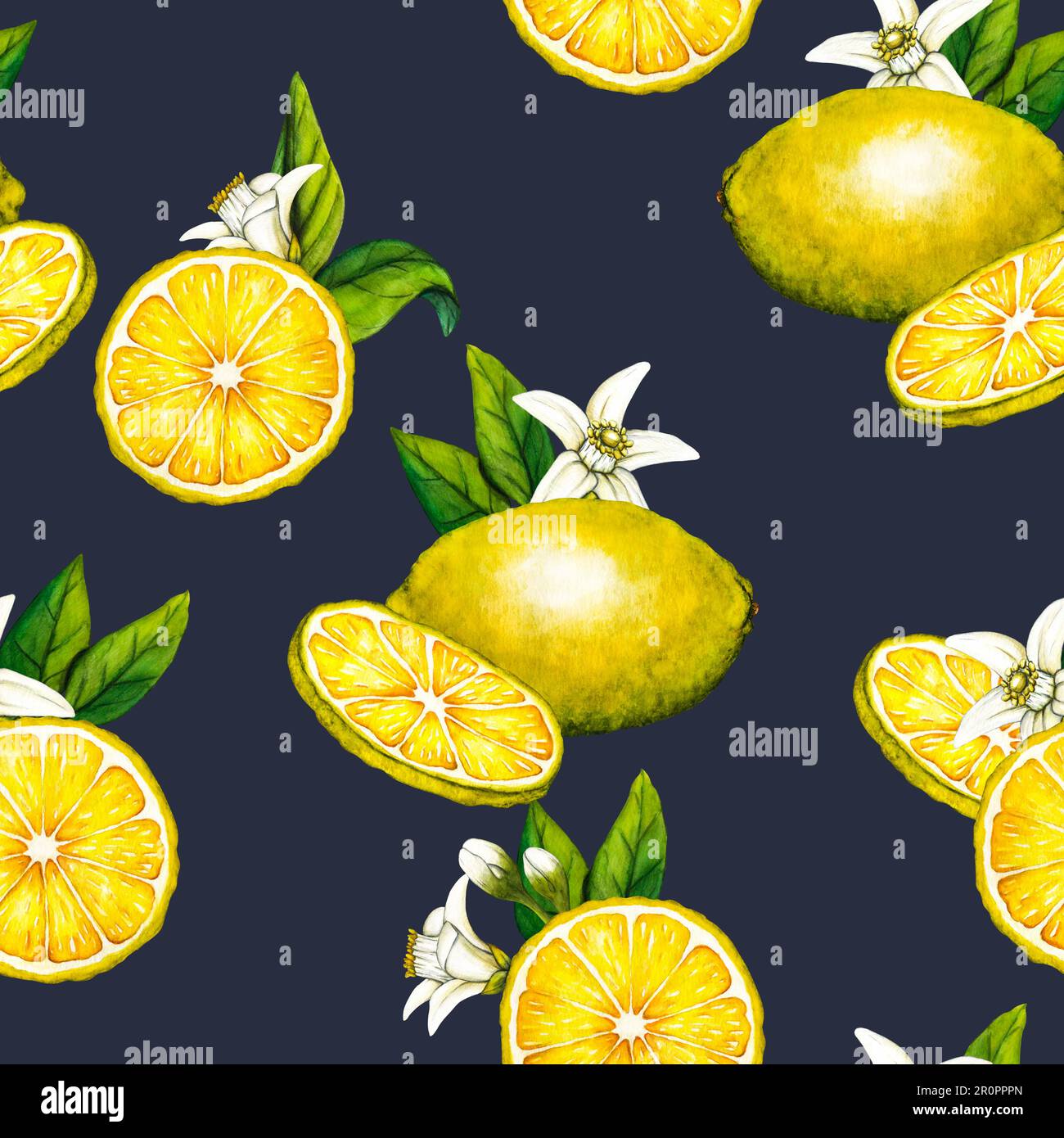 Watercolor seamless pattern lemon slice. Hand drawn botanical ...