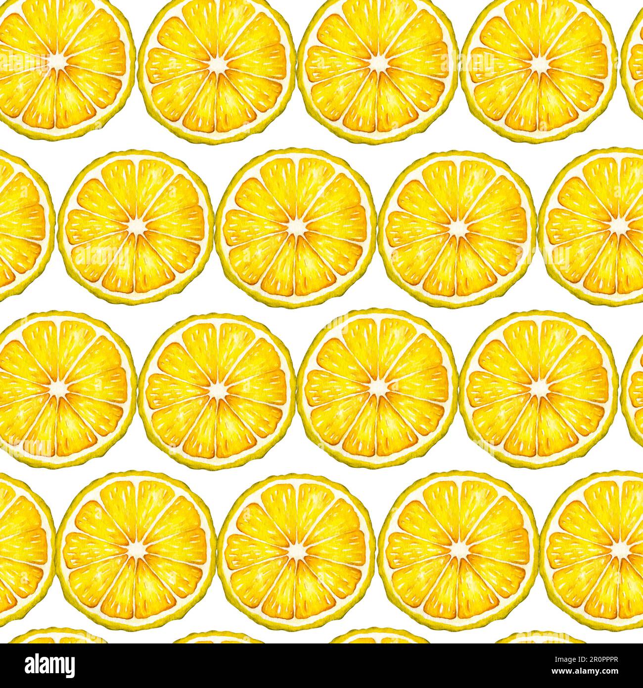 Watercolor seamless pattern lemon slice. Hand drawn botanical ...
