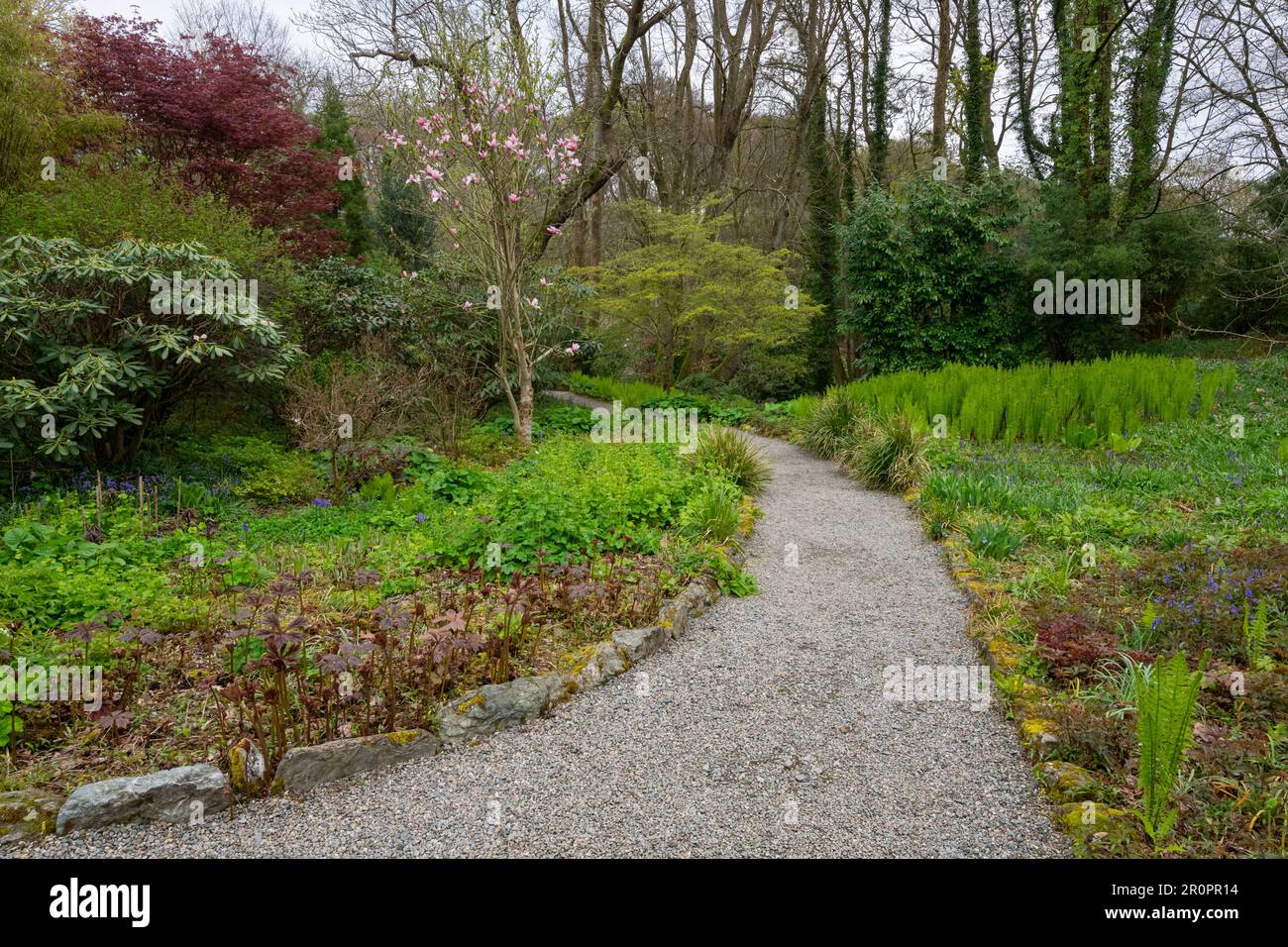 Plas Cadnant Hidden Gardens a beautiful garden in Menai Bridge ...