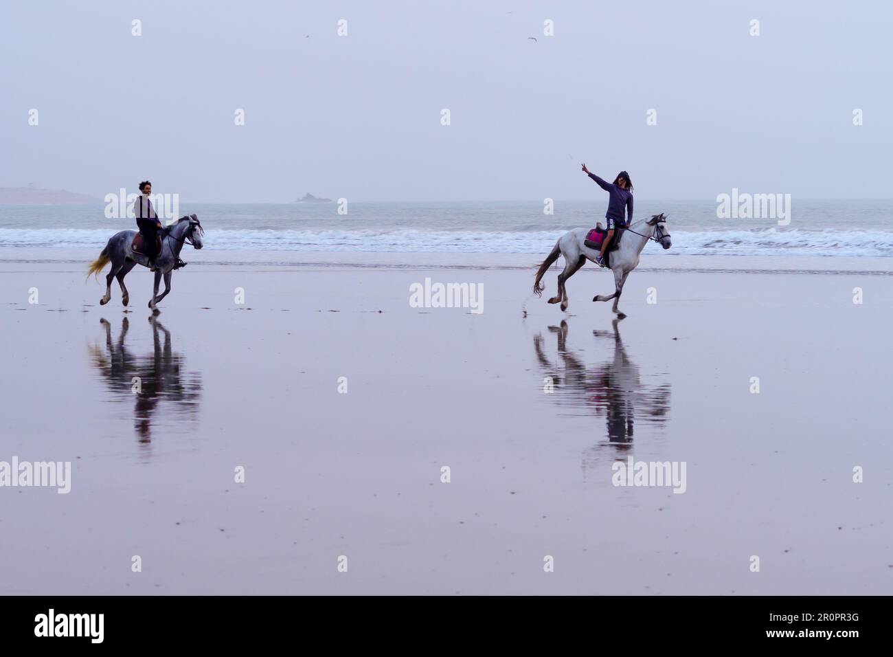Horses galloping sunset beach hi-res stock photography and images - Alamy