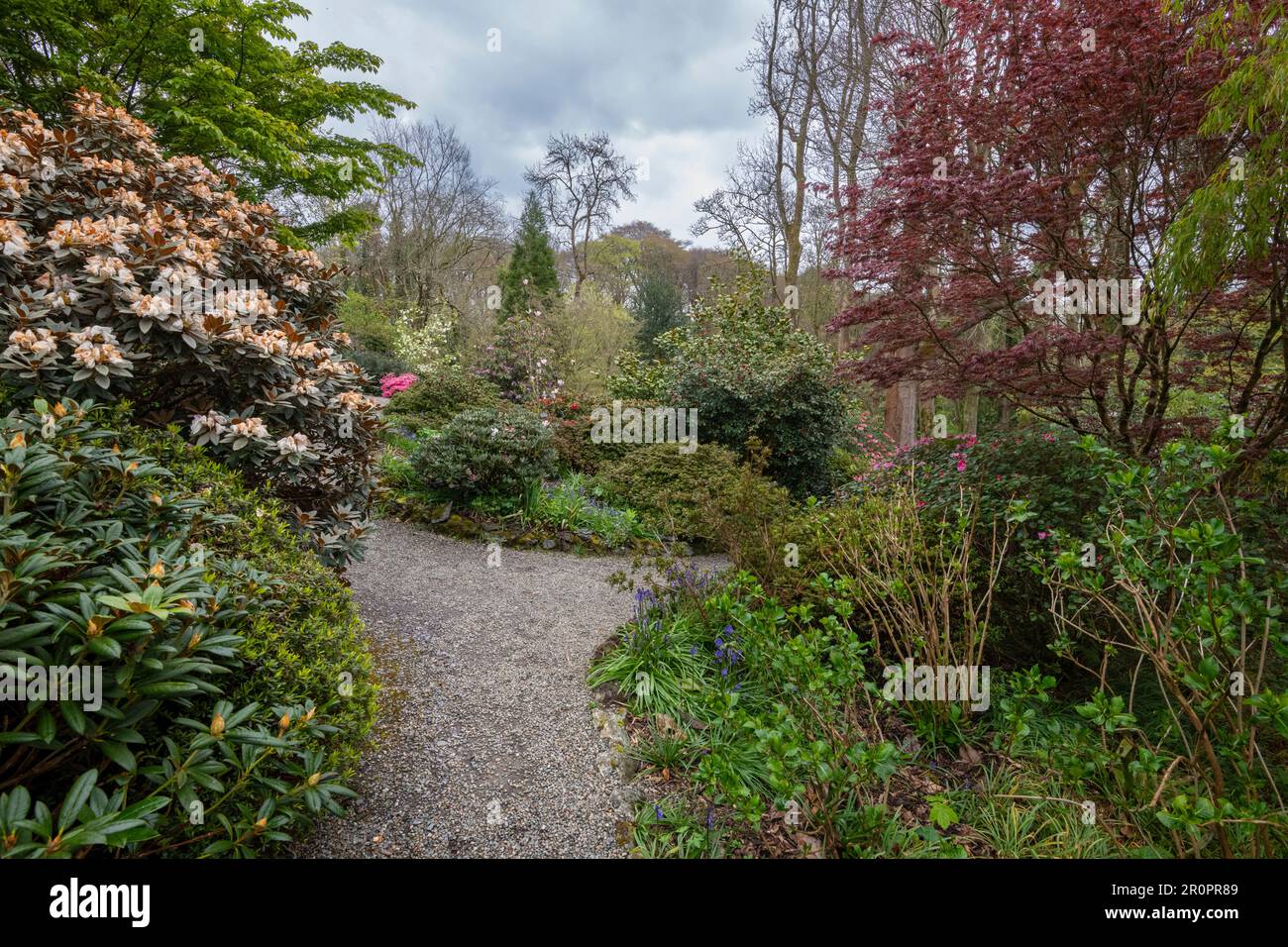 Plas Cadnant Hidden Gardens a beautiful garden in Menai Bridge ...