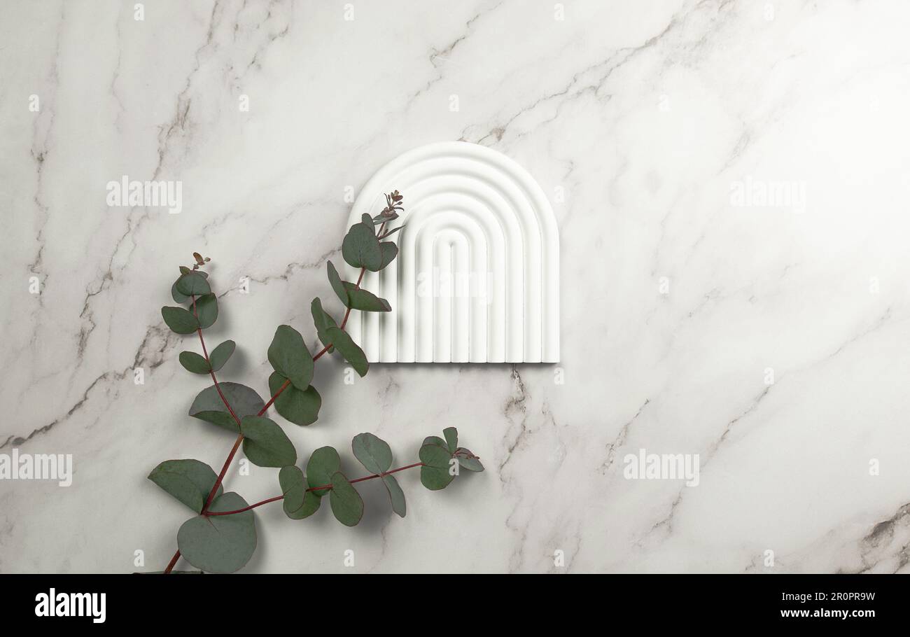 Top view of eucalyptus leaves and white arch tray on marble background ...
