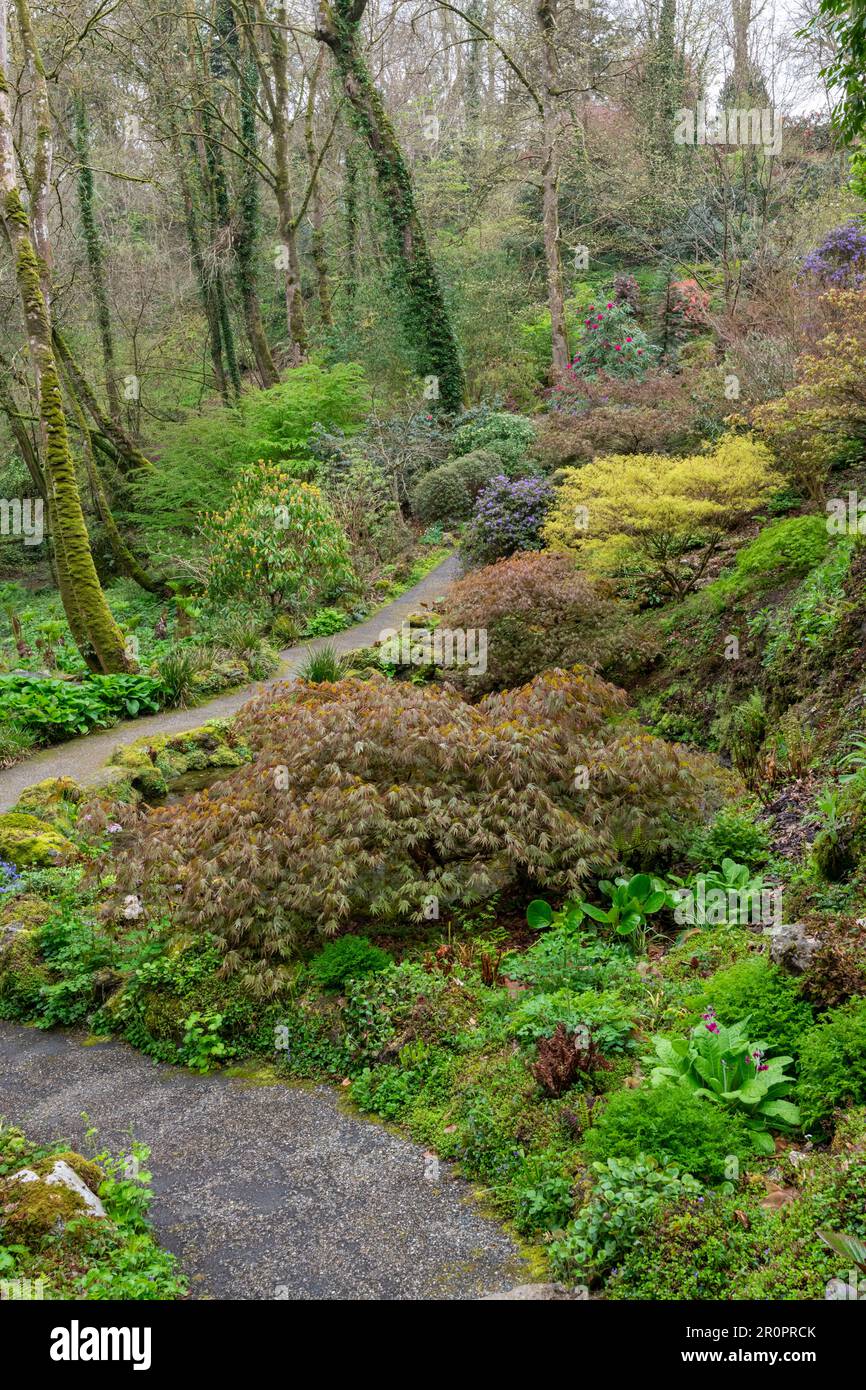 Plas Cadnant Hidden Gardens a beautiful garden in Menai Bridge ...