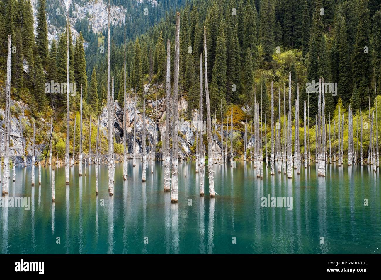 Dead submerged trees in the Kaindy (Kaiyndy) lake in South East ...
