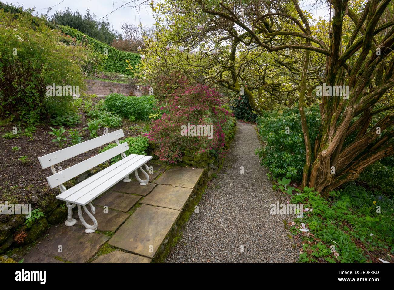 Plas Cadnant Hidden Gardens a beautiful garden in Menai Bridge ...