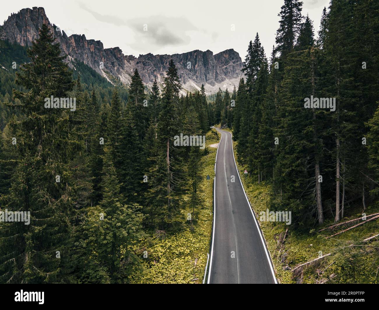 Aerial shot of a long road in a forest near the giau pass in the ...