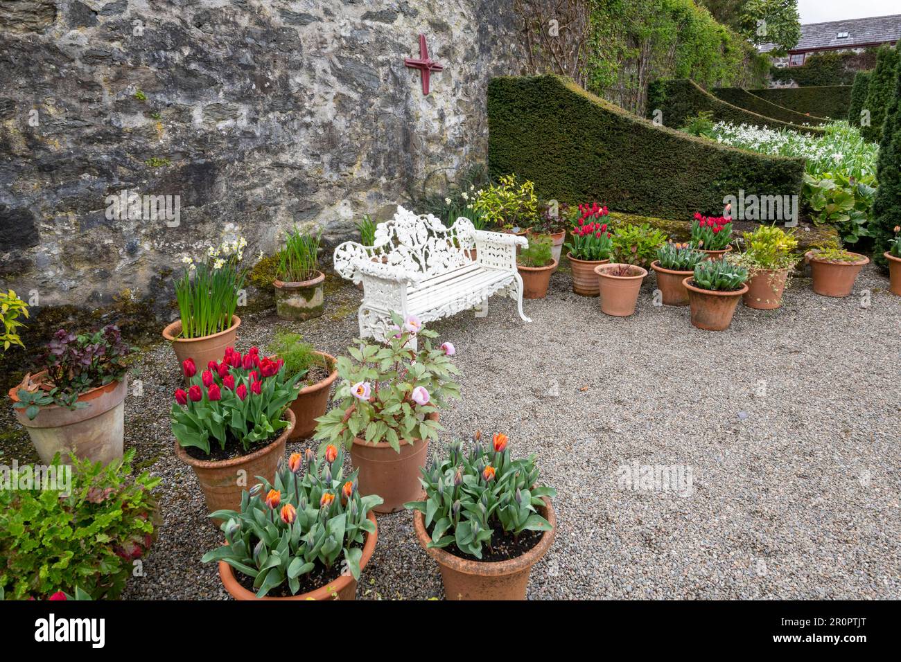 Plas Cadnant Hidden Gardens a beautiful garden in Menai Bridge ...