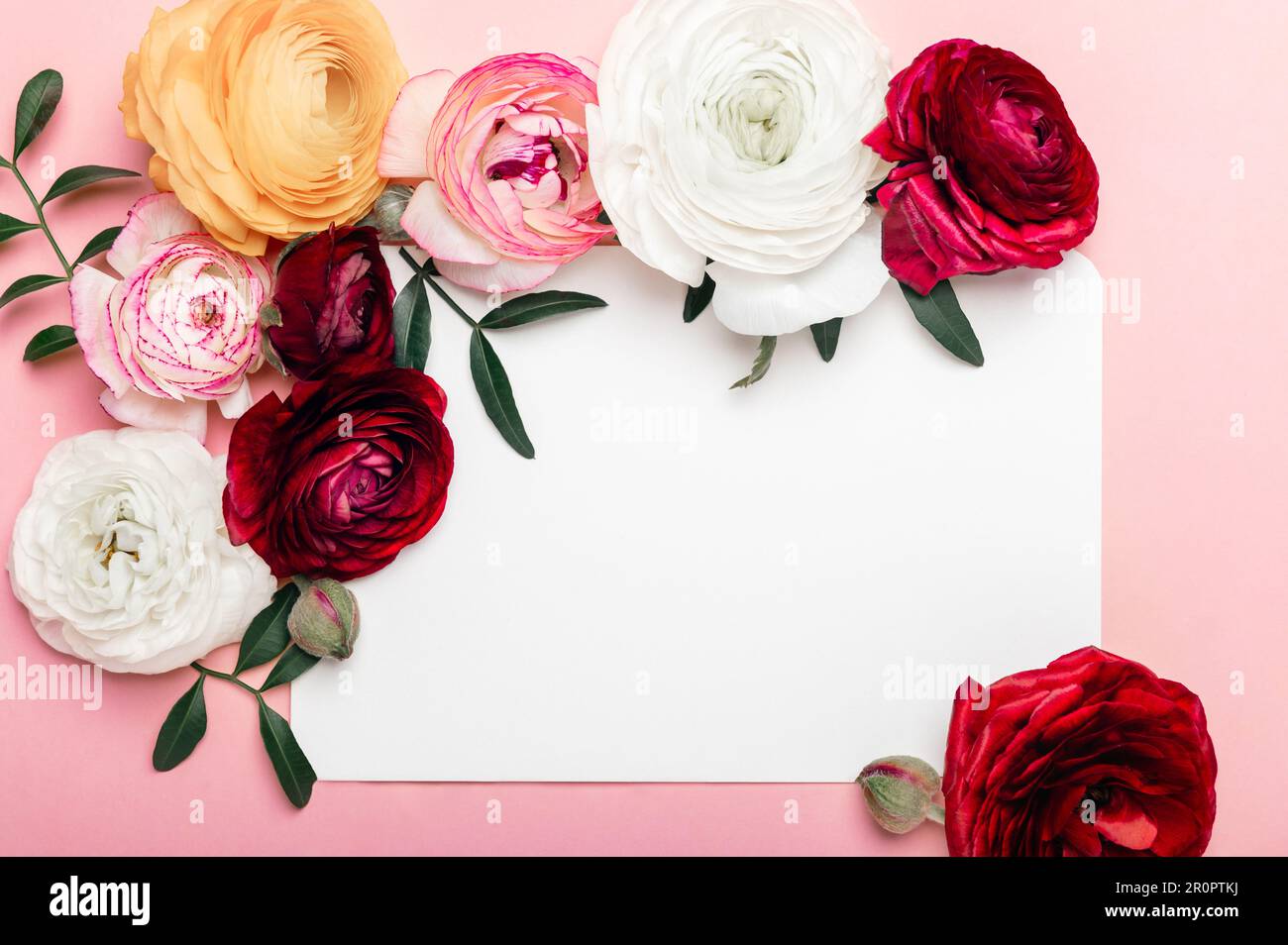 Floral arrangments of tender ranunculus flowers Stock Photo - Alamy