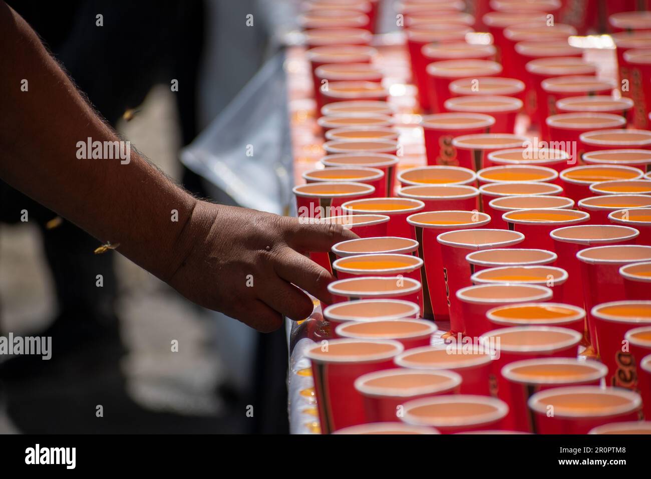 A person's hand picking one of the lined up disposal cups, ready to be ...