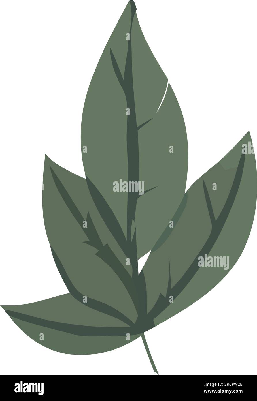 Green plant growth symbolizes nature design Stock Vector Image & Art ...