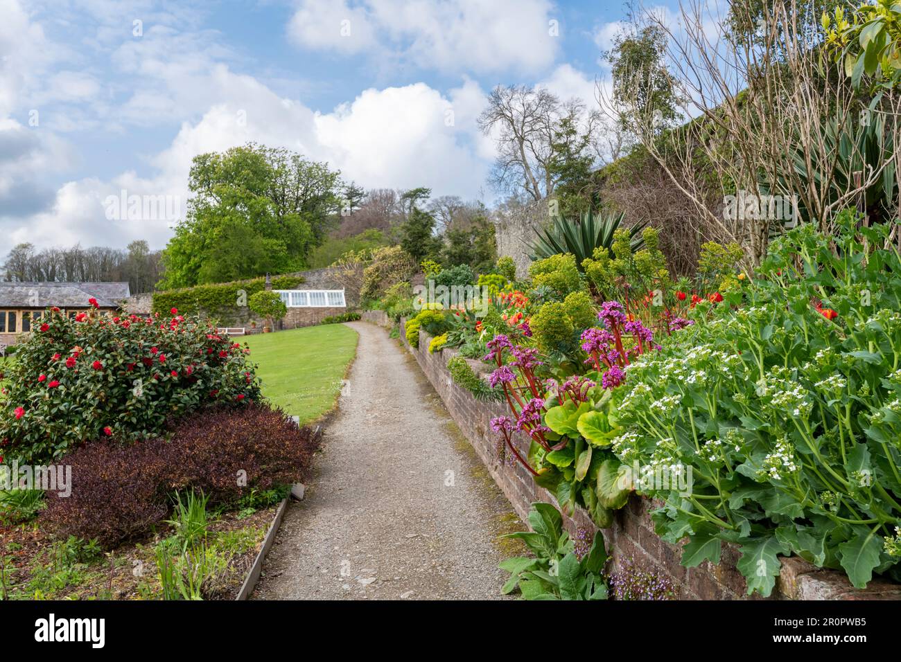Plas Cadnant Hidden Gardens a beautiful garden in Menai Bridge ...