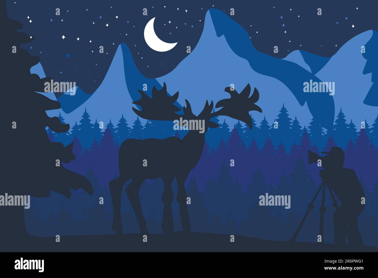 Photographer photographs deer in nature. Forest and Mountains Wildlife ...