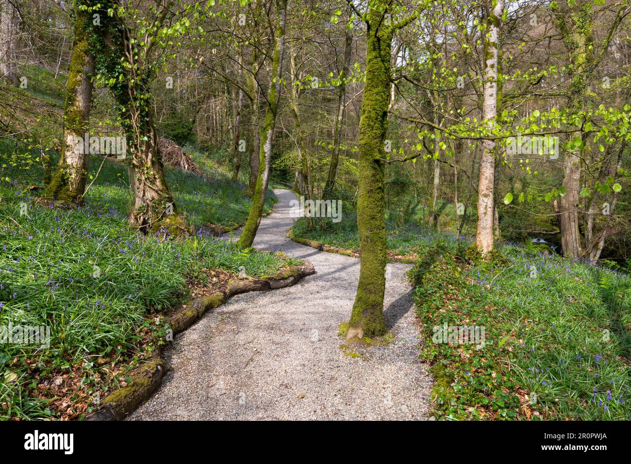 Plas Cadnant Hidden Gardens a beautiful garden in Menai Bridge ...