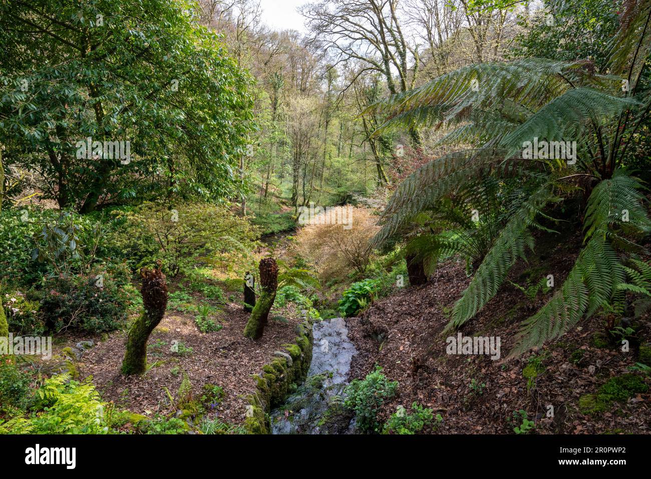 Plas Cadnant Hidden Gardens a beautiful garden in Menai Bridge ...