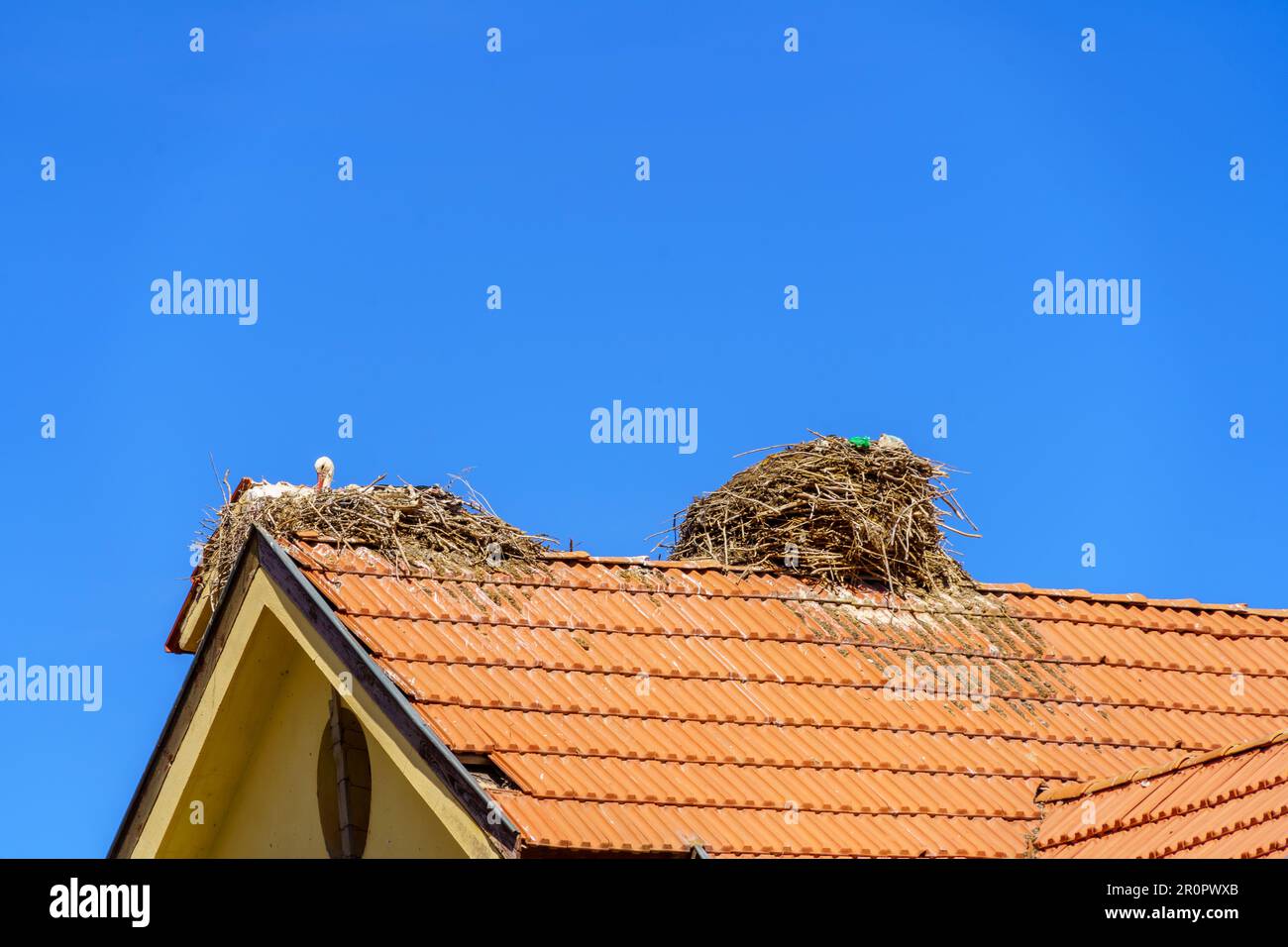 View of storks nesting on a house roof, in the Middle Atlas Mountains ...