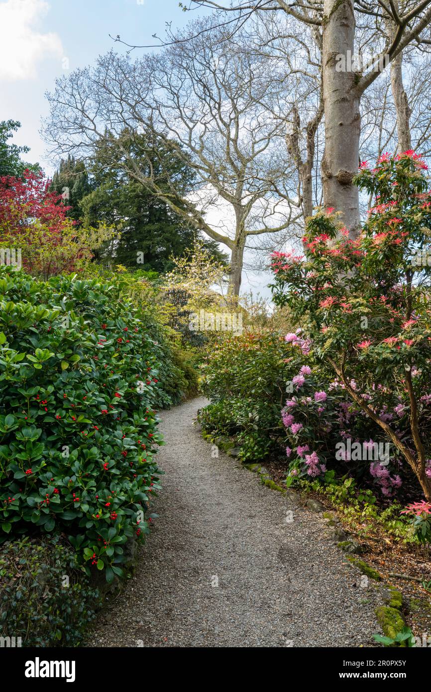 Plas Cadnant Hidden Gardens a beautiful garden in Menai Bridge ...