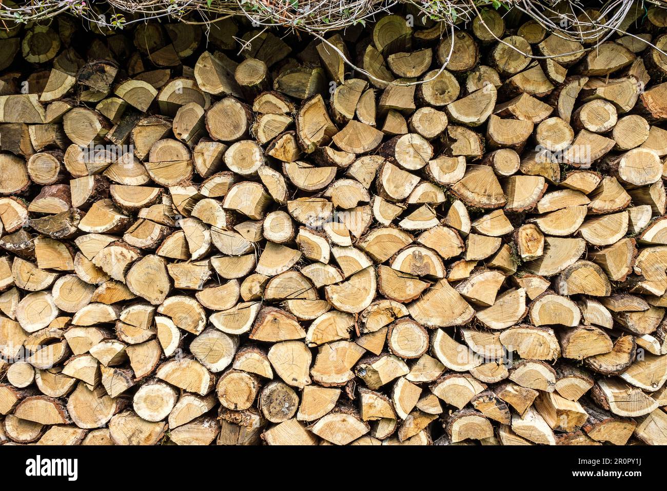 Stere de bois hi-res stock photography and images - Alamy
