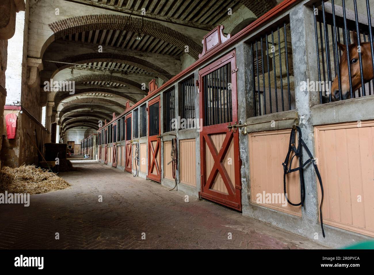 Ancient large stables of the king are now property of the Pole equestre ...