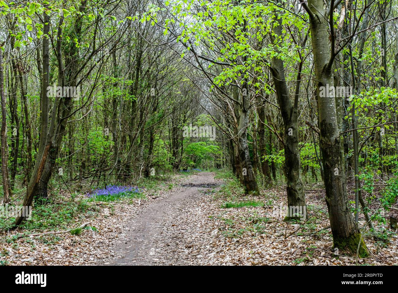 The village of Lyons-la-Foret is one of the most beautiful village of ...
