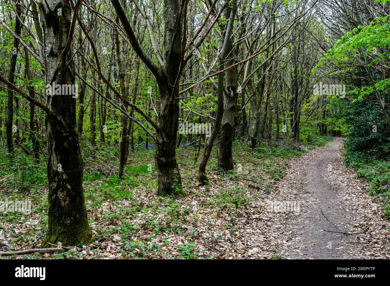 The village of Lyons-la-Foret is one of the most beautiful village of ...