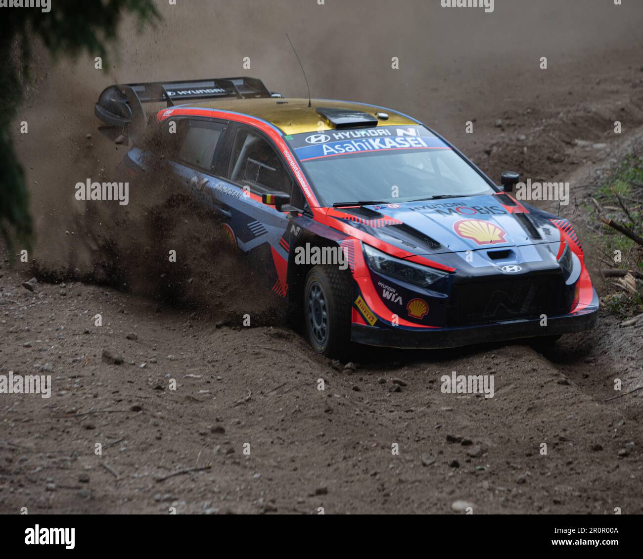 Wrc 2023 hi-res stock photography and images - Alamy