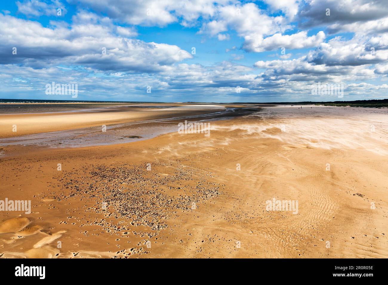 Lonely wide sandy beach at low tide, sunny weather, Nairn Beach ...
