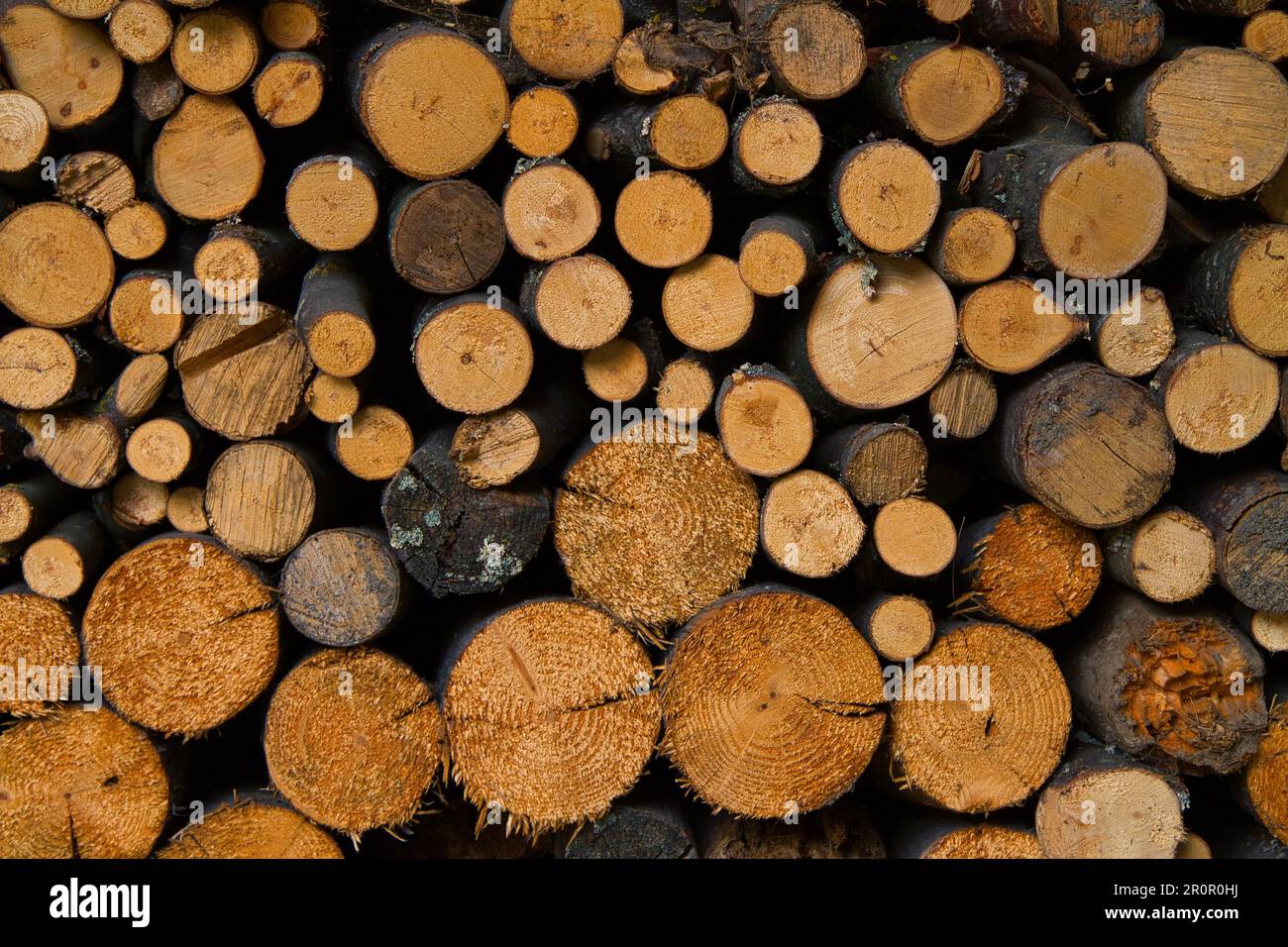 Wood storage pile hi-res stock photography and images - Alamy