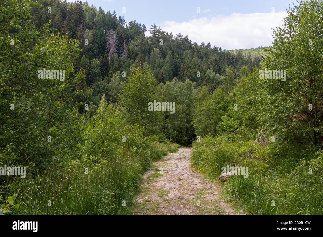 Brush trail hi-res stock photography and images - Alamy