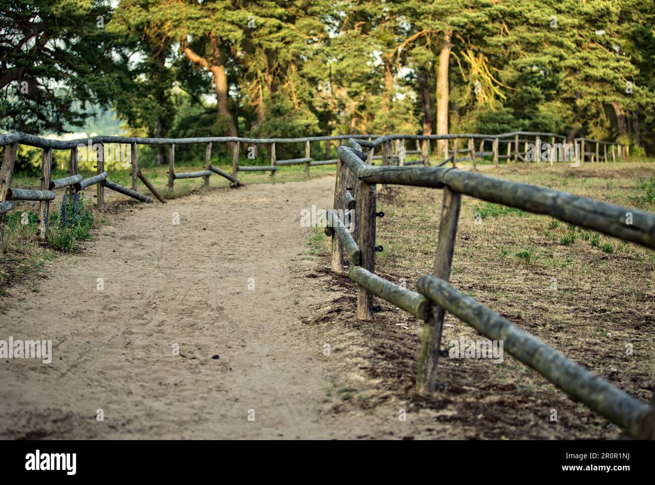 Path through nature reserve hi-res stock photography and images - Alamy