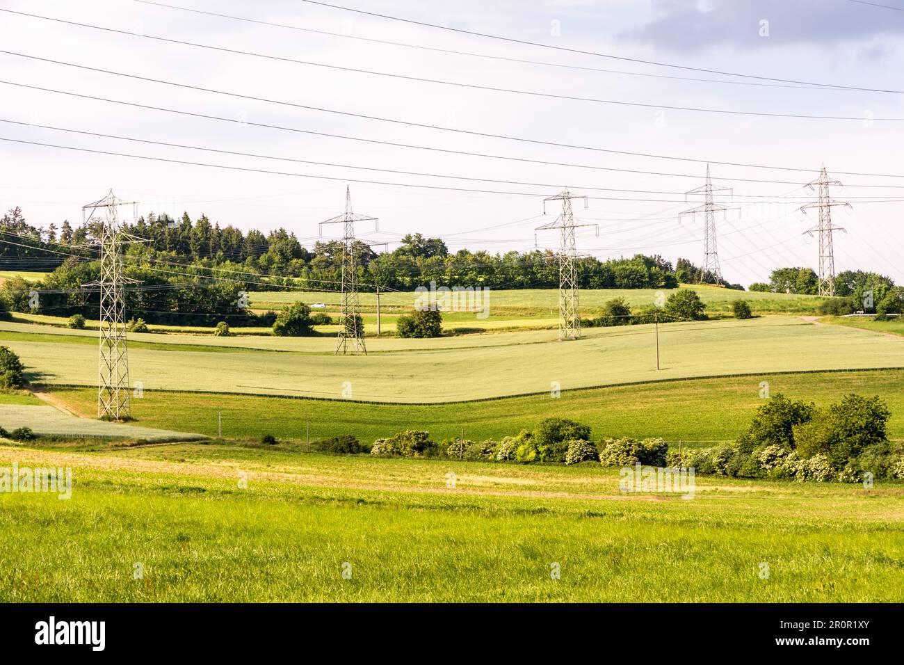 Power network in a rural landscape Stock Photo - Alamy