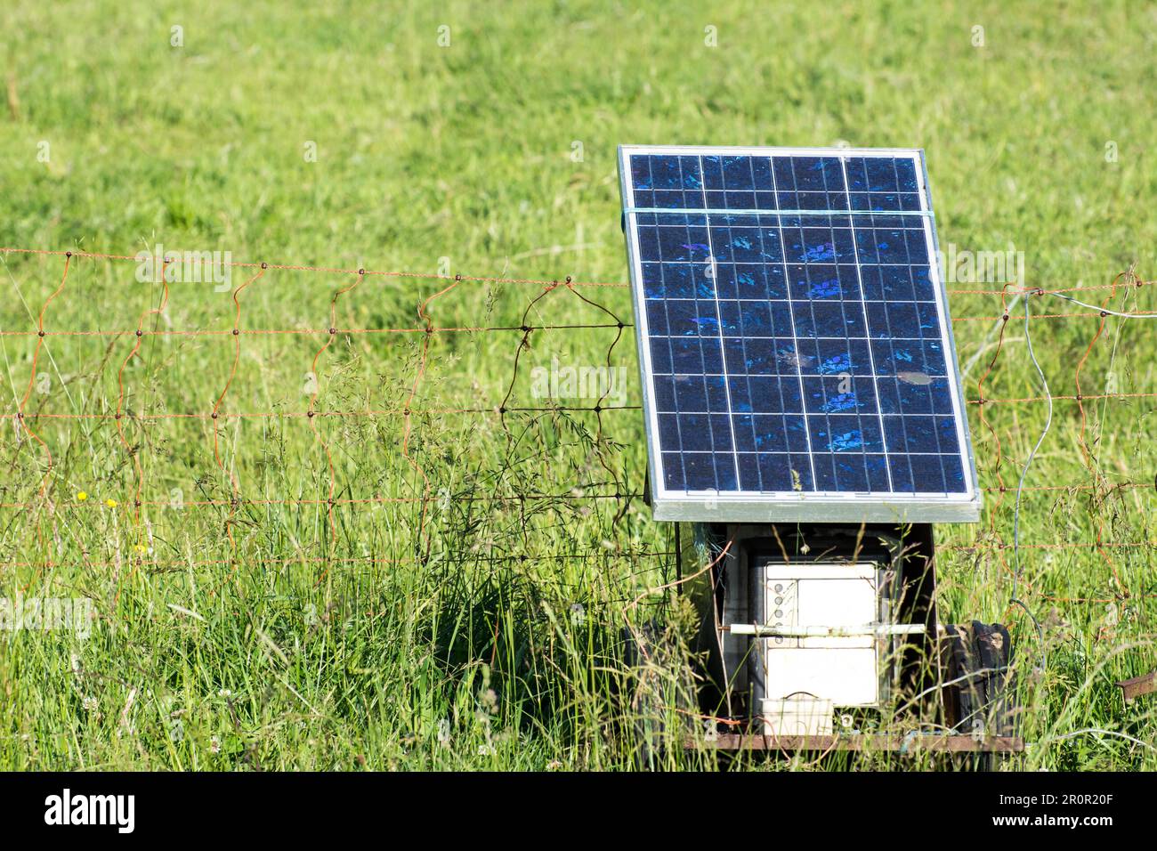 Electric pasture fence charged with a solar panel Stock Photo - Alamy