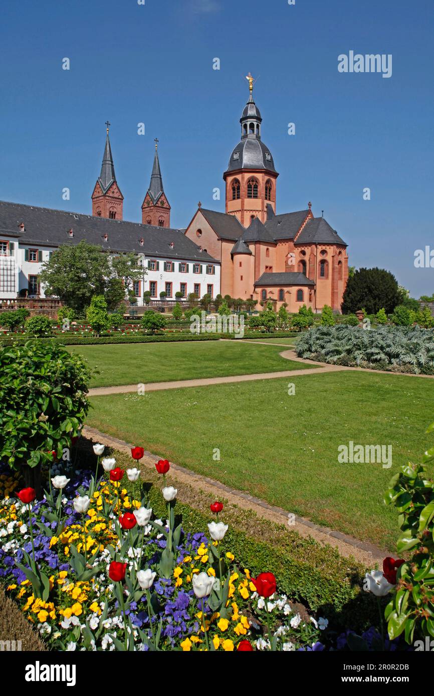 Einhard Basilica, monastery garden, spring flowers, Seligenstadt, Hesse ...