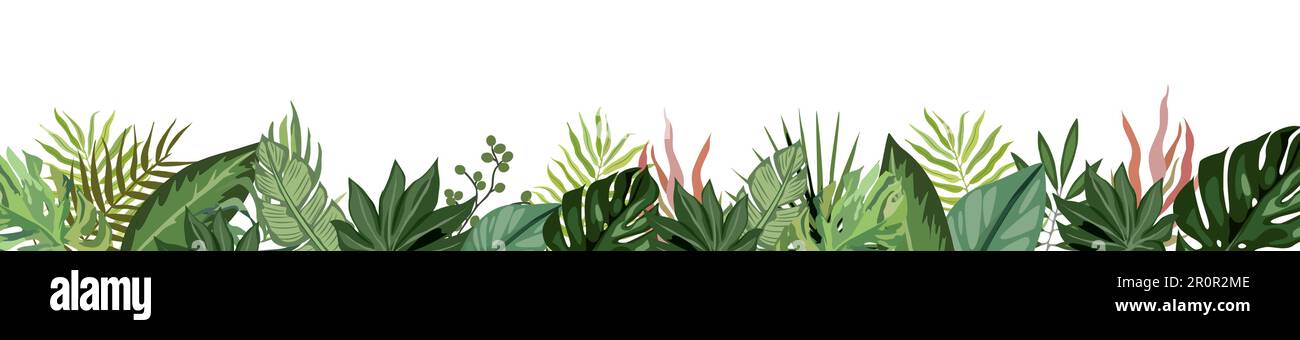 Tropical leaves and branches vector art border Stock Vector Image & Art ...