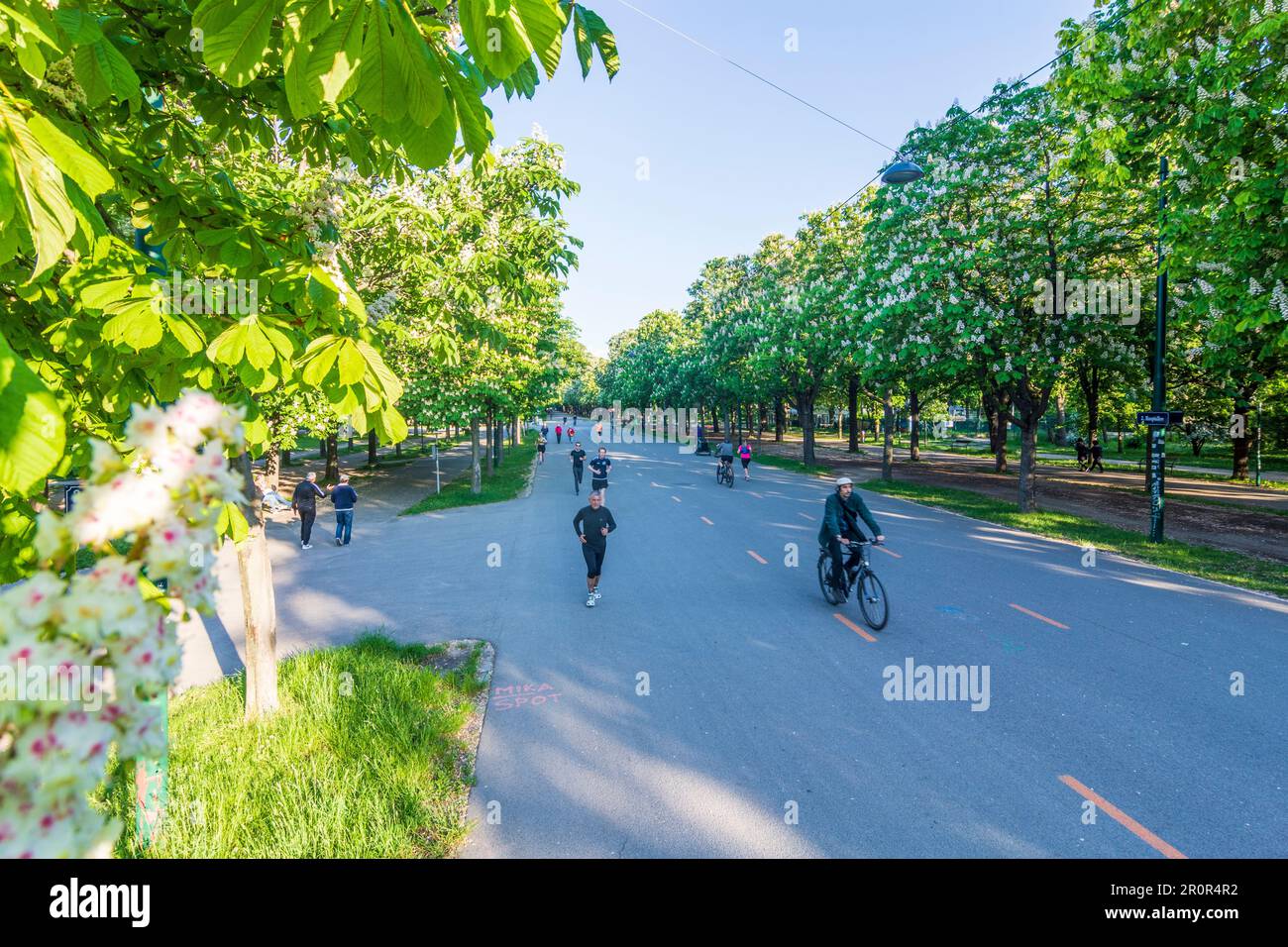 Walker in 02 leopoldstadt hi-res stock photography and images - Alamy