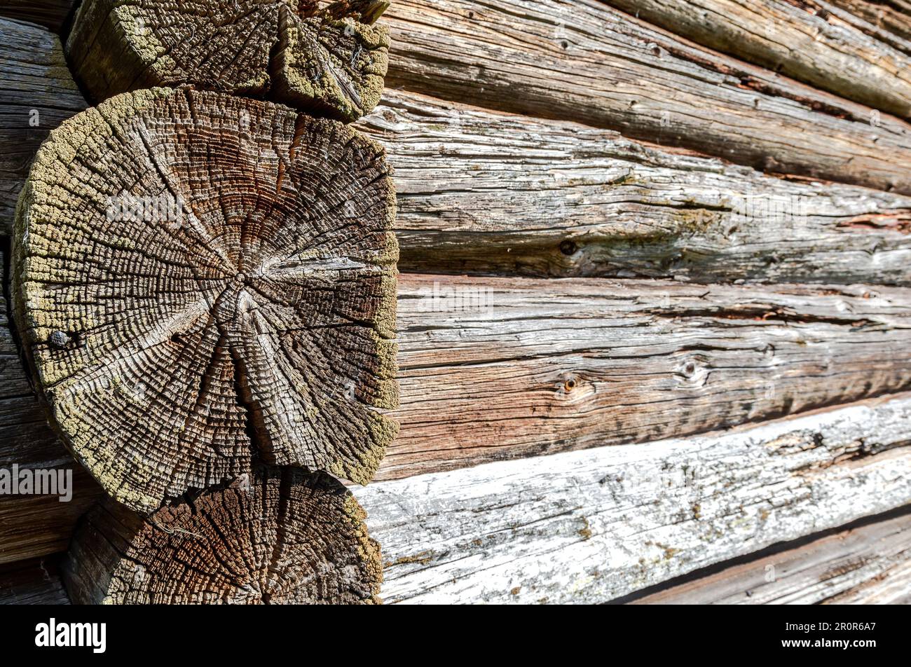 Old wooden logs with natural patterns as background, wooden logs ...