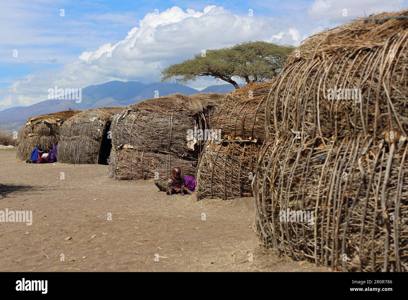 Maasai village, huts, Maasai, Tanzania Stock Photo - Alamy