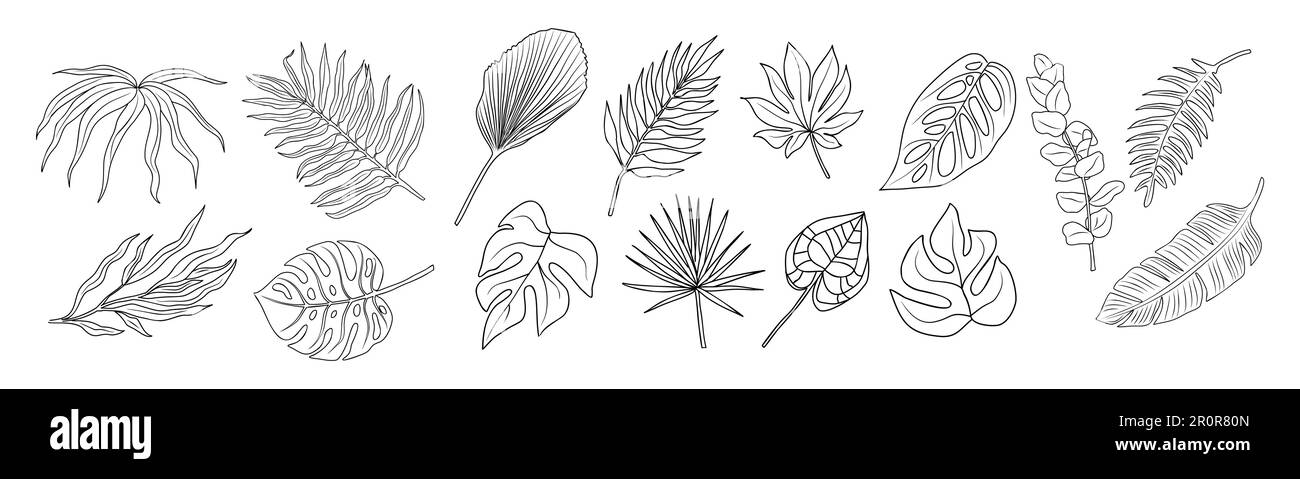 Line art tropical leaves set botanical vector Stock Vector Image & Art ...